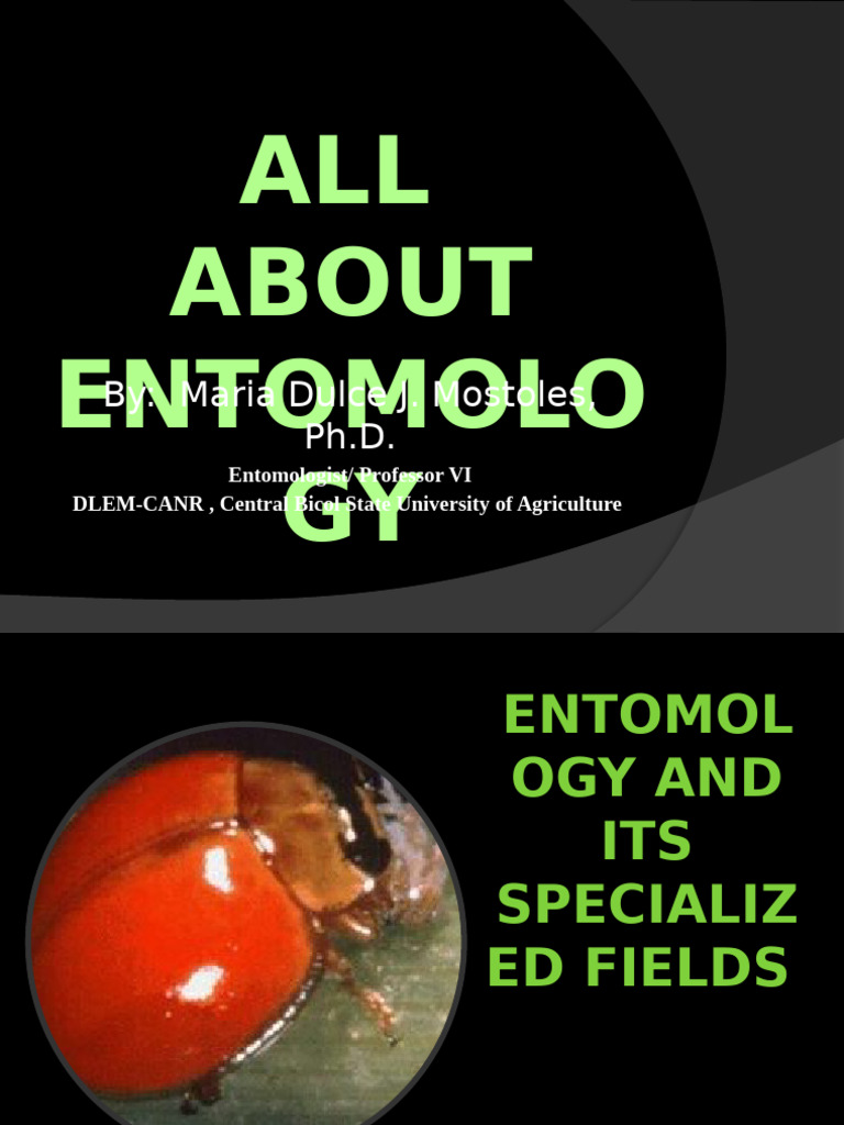 All About Entomology | PDF