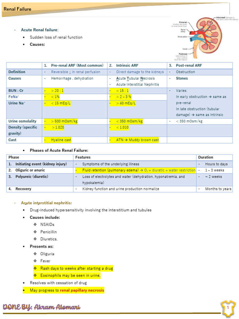 Pediatric - Renal Failure | PDF | Kidney Disease | Kidney