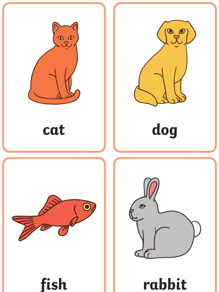 Flashcard Animal A5 | PDF