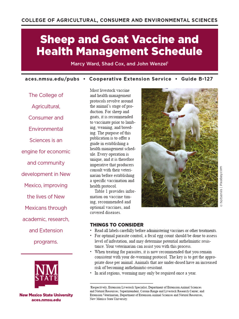 Sheep and Goat Vaccine and Health Management Schedule: Marcy Ward, Shad ...