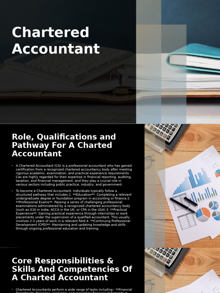 Chartered Accountant | PDF