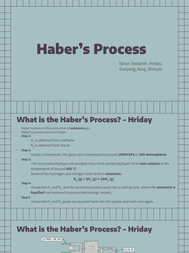 Haber's Process | PDF