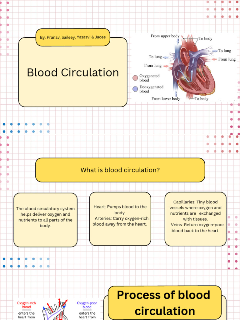 Blood circulation | PDF