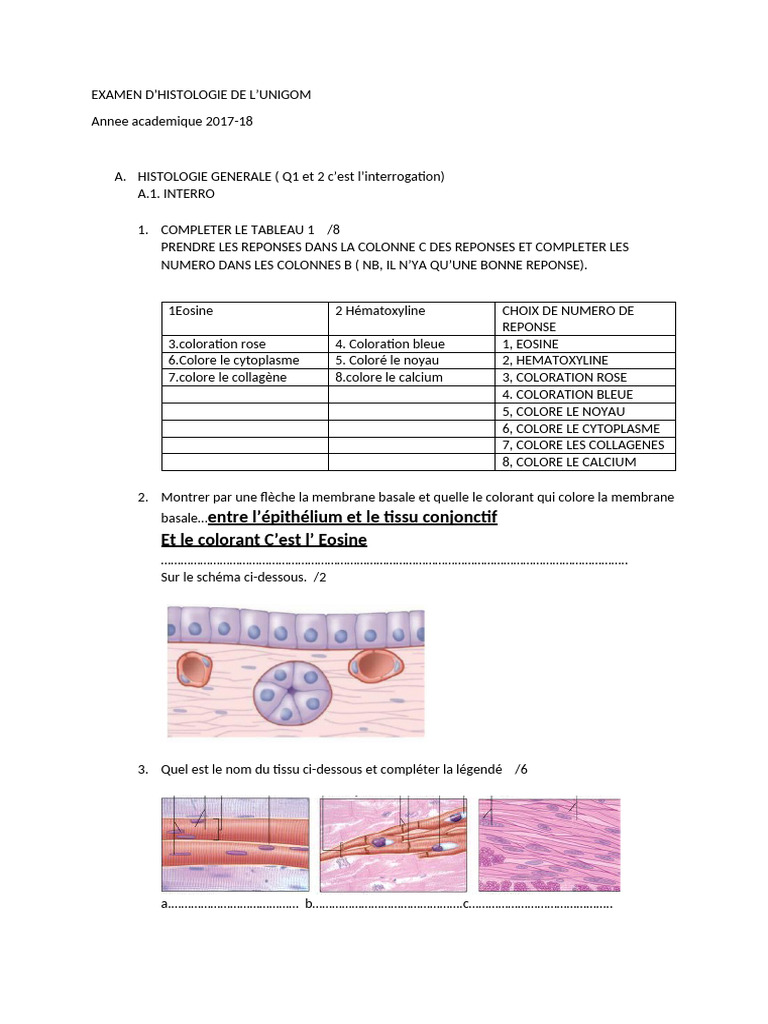 Correction Histo G2 Unigom, UOB, CUS, ULpgl Et Unik, Unikol-1-1 | PDF
