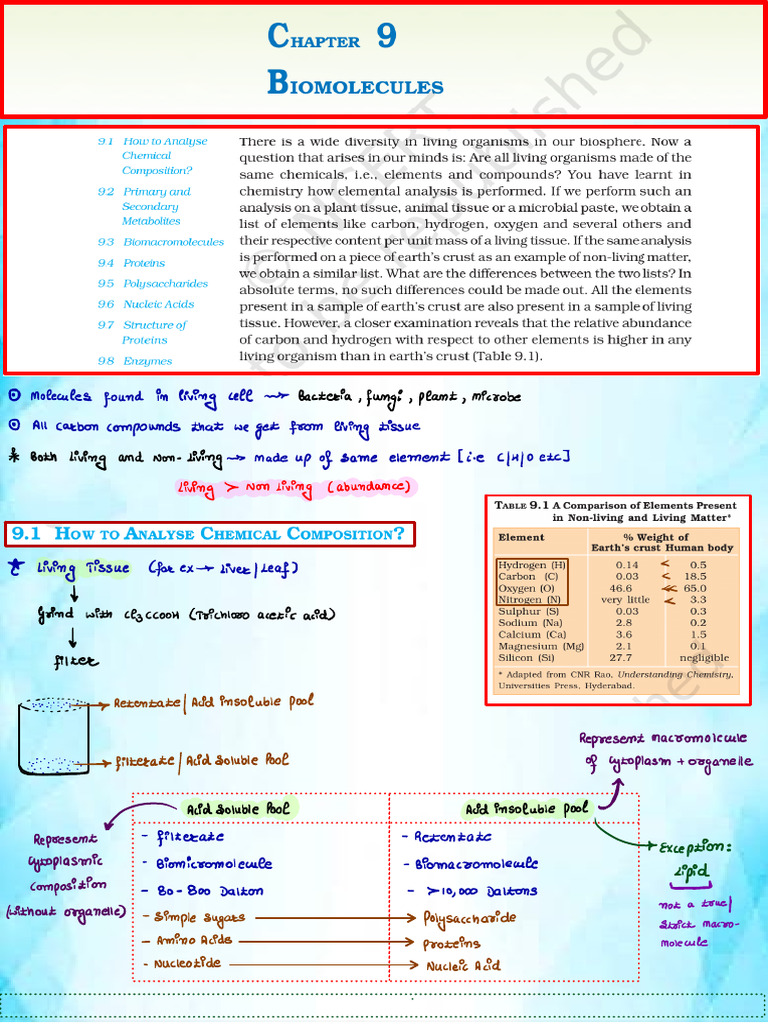 First Class Biomolecules | PDF