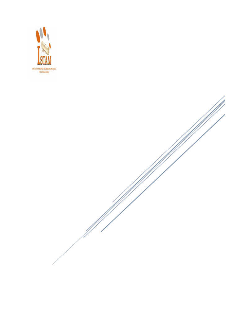 Presentation SAFID | PDF