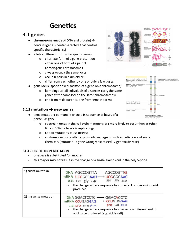 Unit 4 Genetics | PDF
