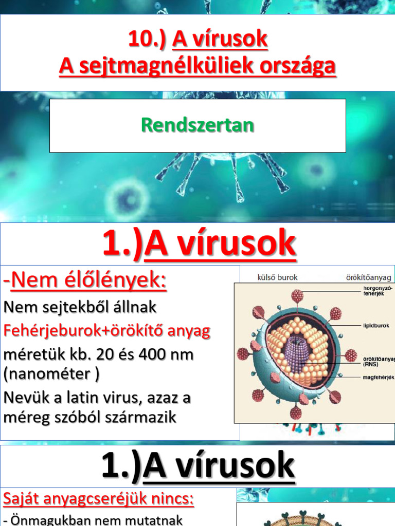 10.) A Vírusok És Baktériumok B7. | PDF