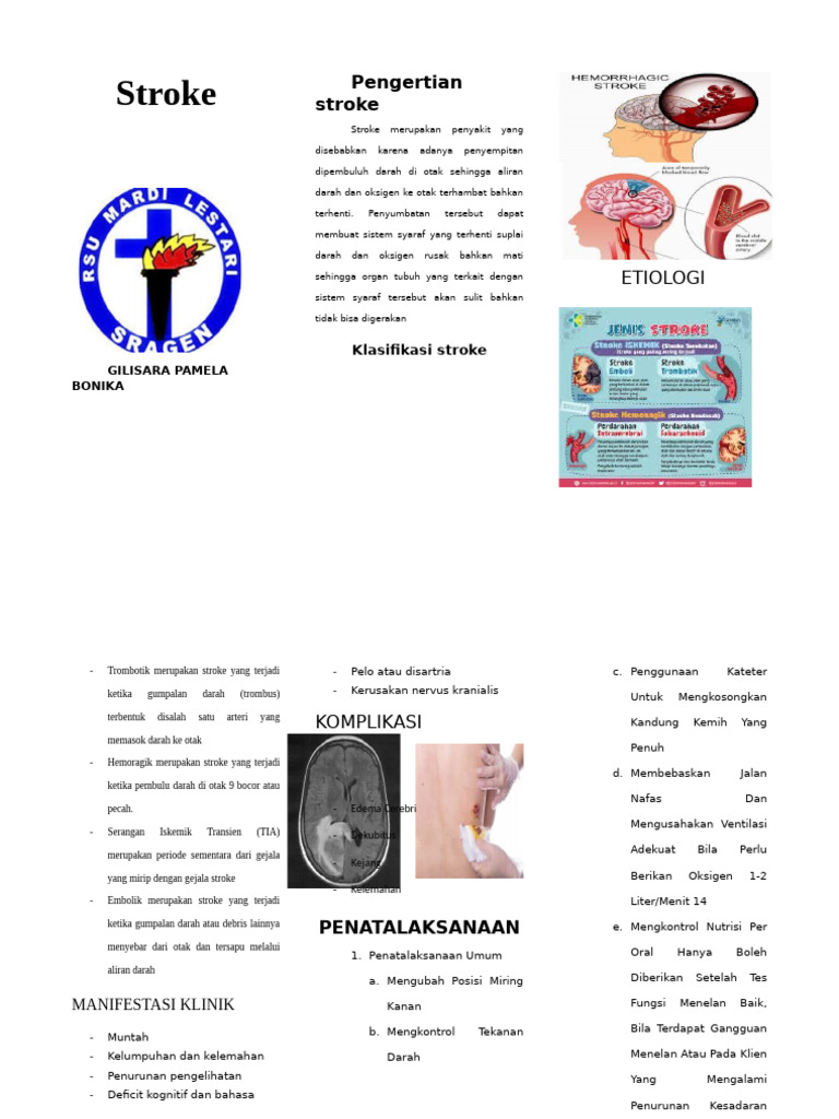 Leaflet Stroke | PDF