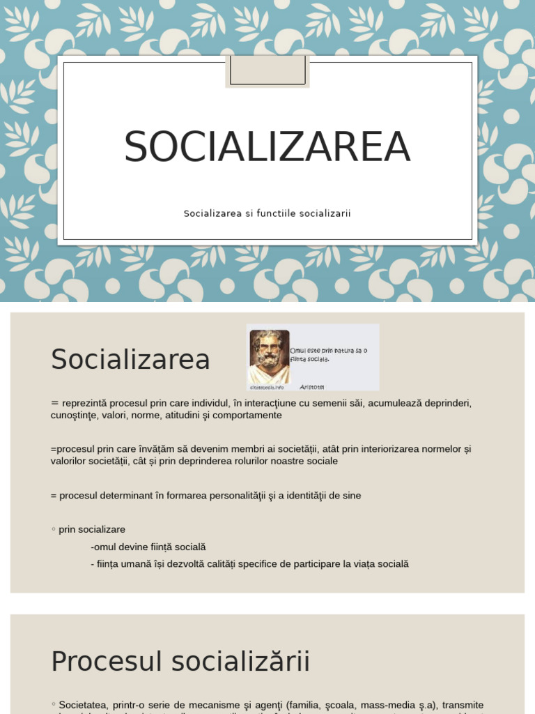 Socializarea | PDF