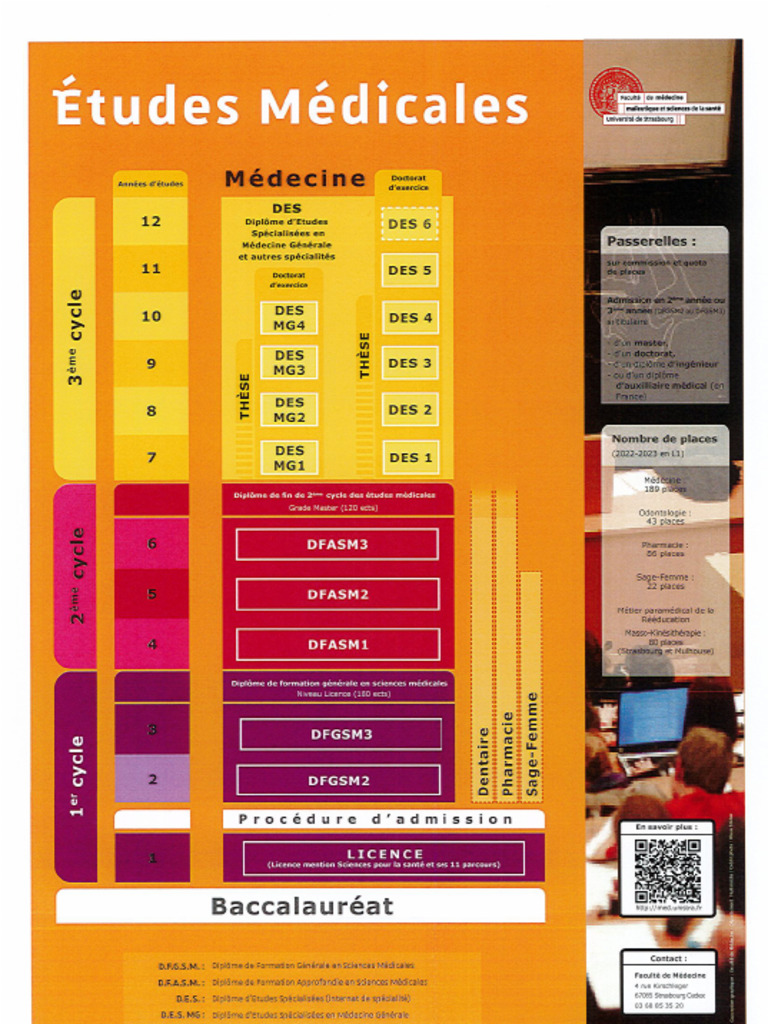 Tableau Des Études Paramédicales | PDF