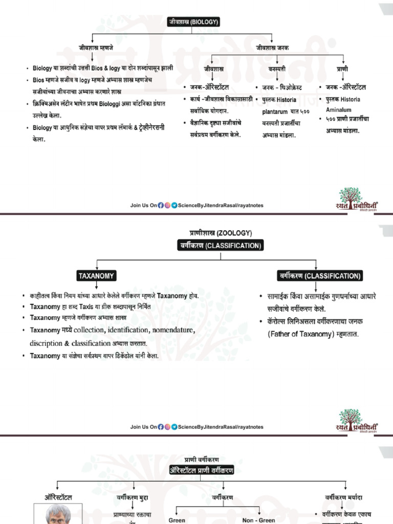Animal Classification | PDF