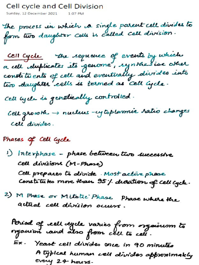 Cell Cycle and Cell Division | PDF
