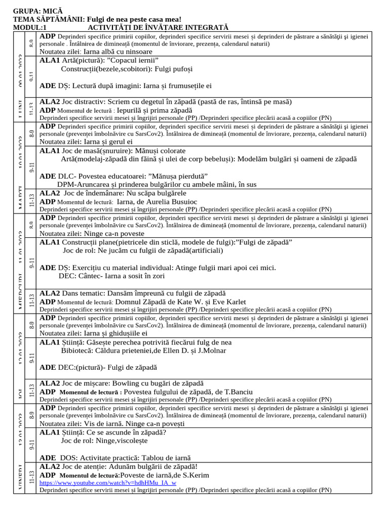 Planificare Fulgi de Nea (Model) | PDF