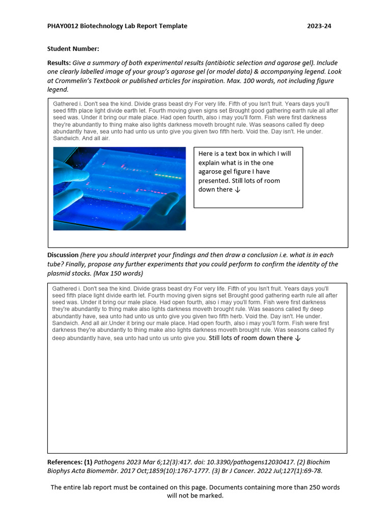 250 Words of Random Text | PDF
