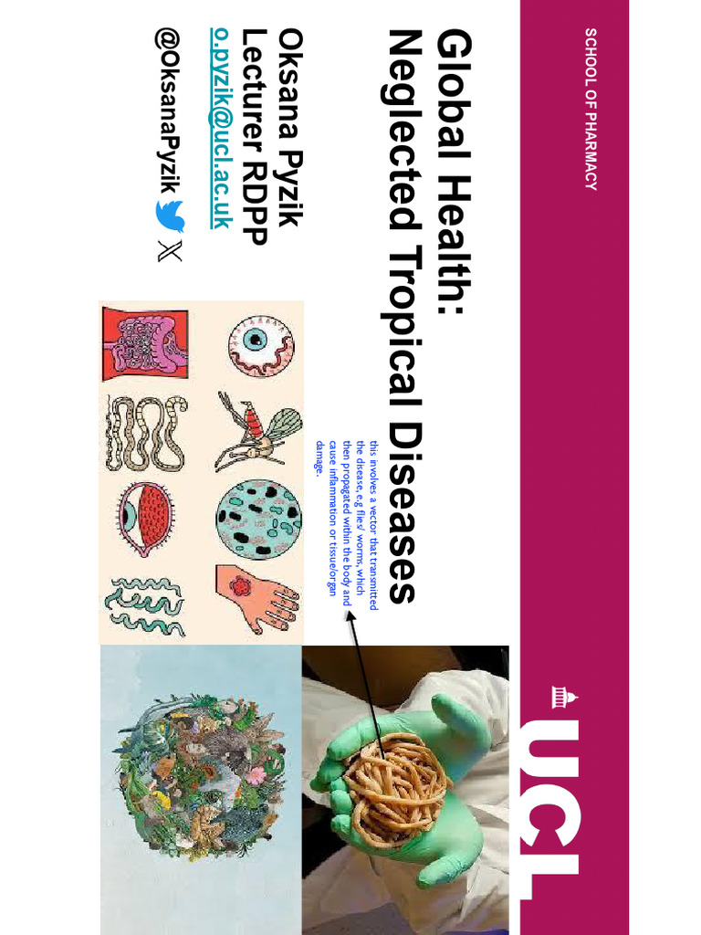 Global Health - Neglected Tropical Diseases 2 | PDF