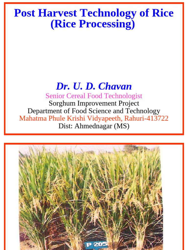 Post Harvest Technologyof Rice | PDF | Rice