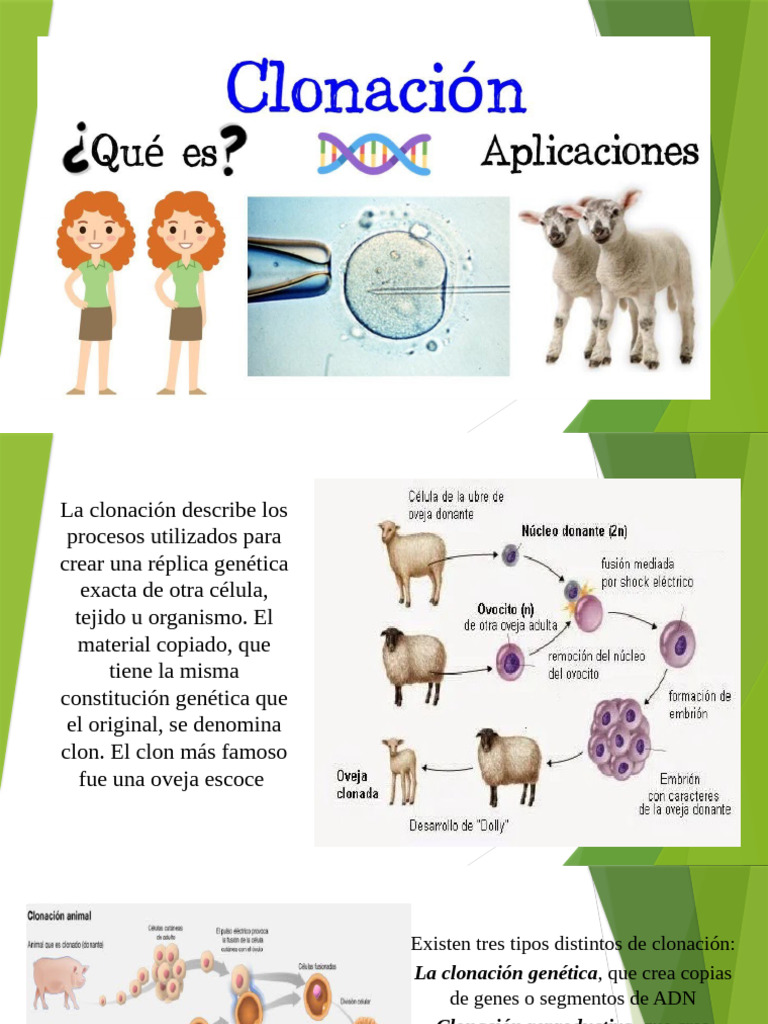 Expo Clonacion | PDF