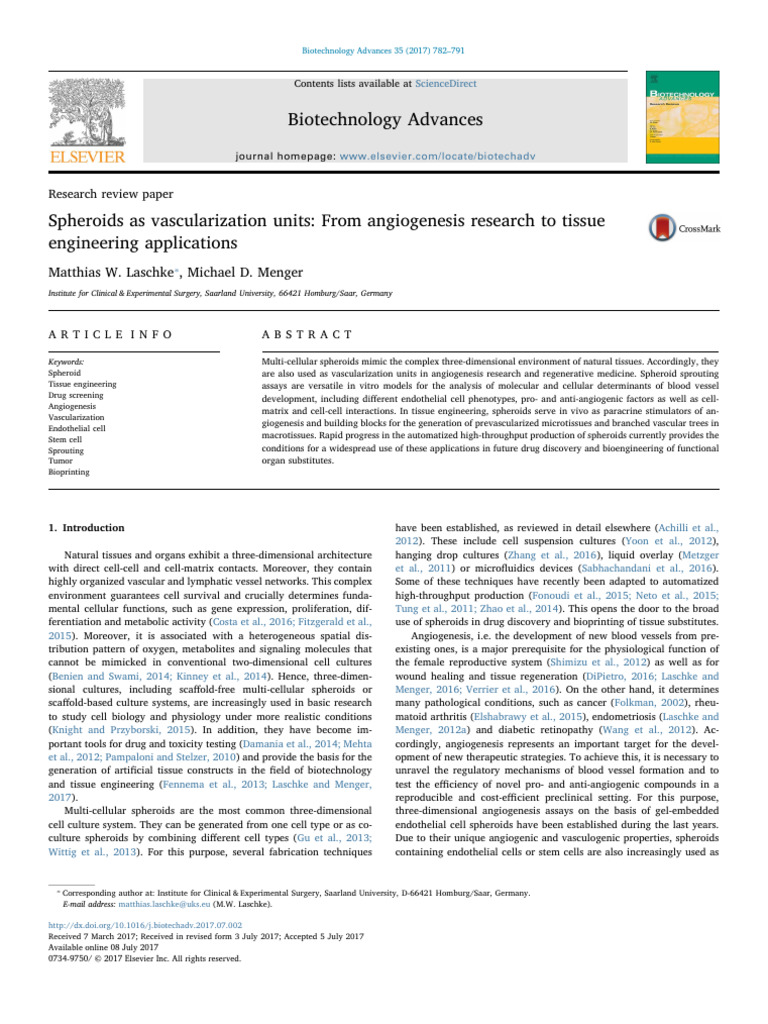 Spheroids As Vascularization Units - From Angiogenesis Research To ...