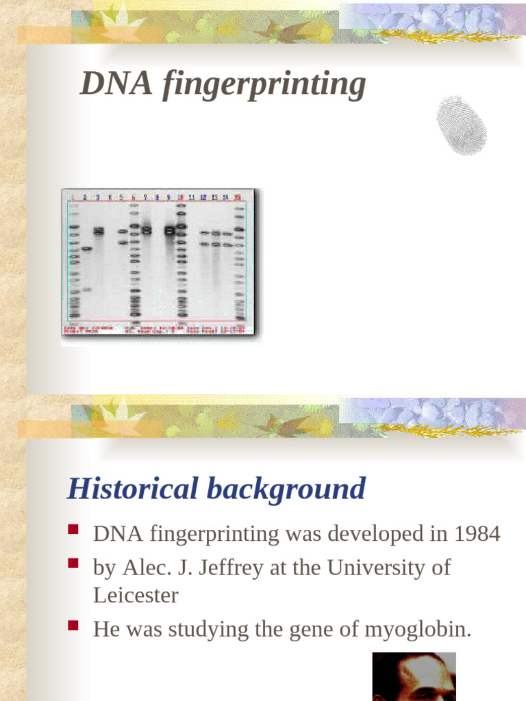 Dna Fingerprinting | PDF