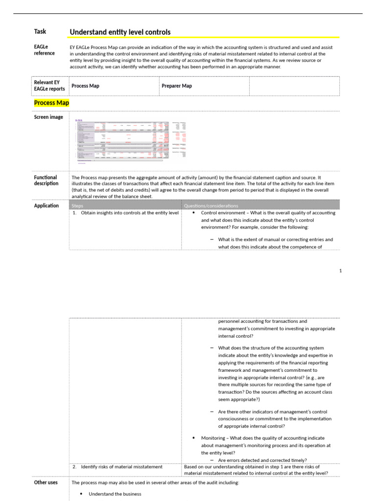 EY EAGLe Understand Entity Level Controls | PDF | Internal Control | Audit