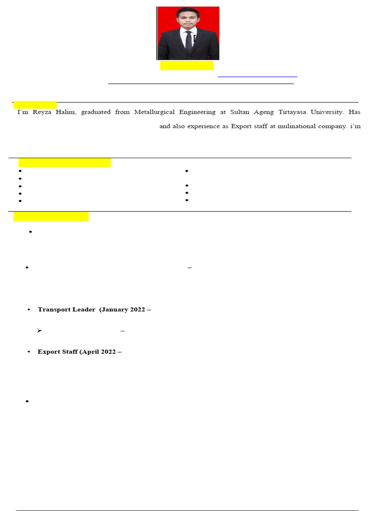 CV Reyza Halim-2 | PDF
