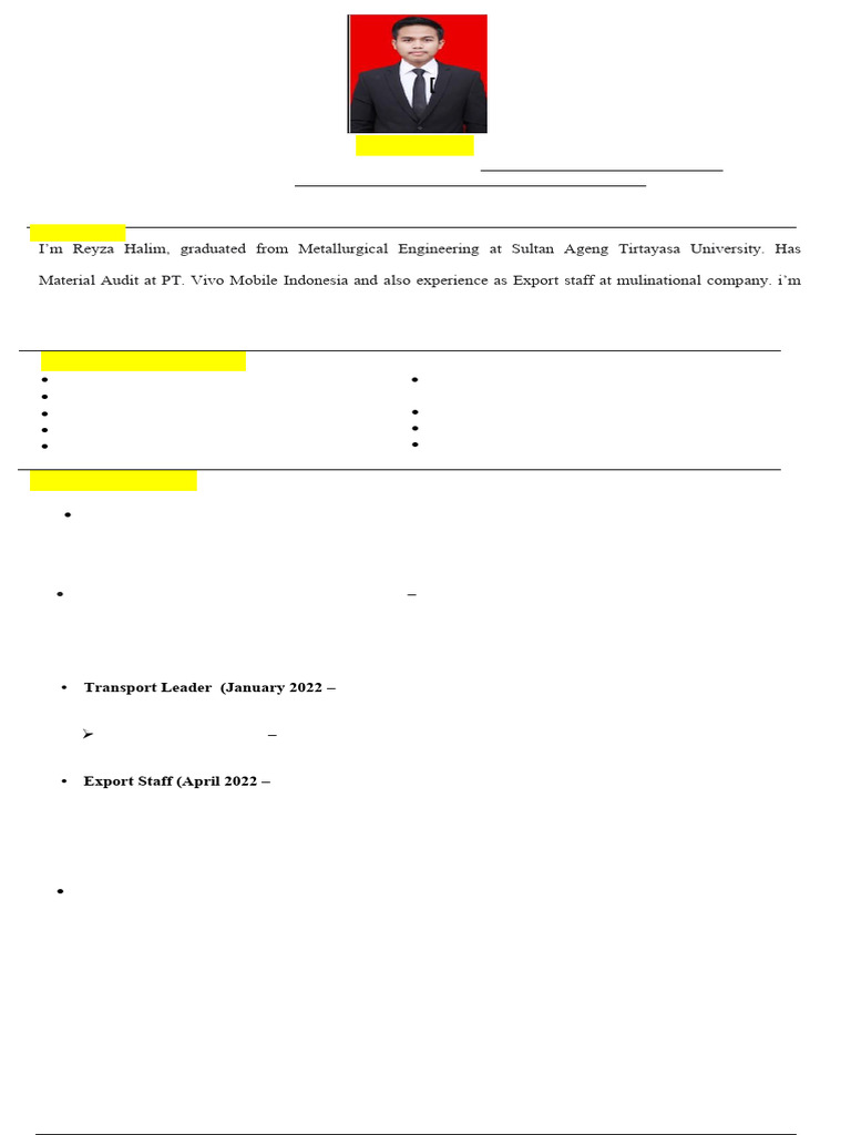 CV Reyza Halim-2 | PDF