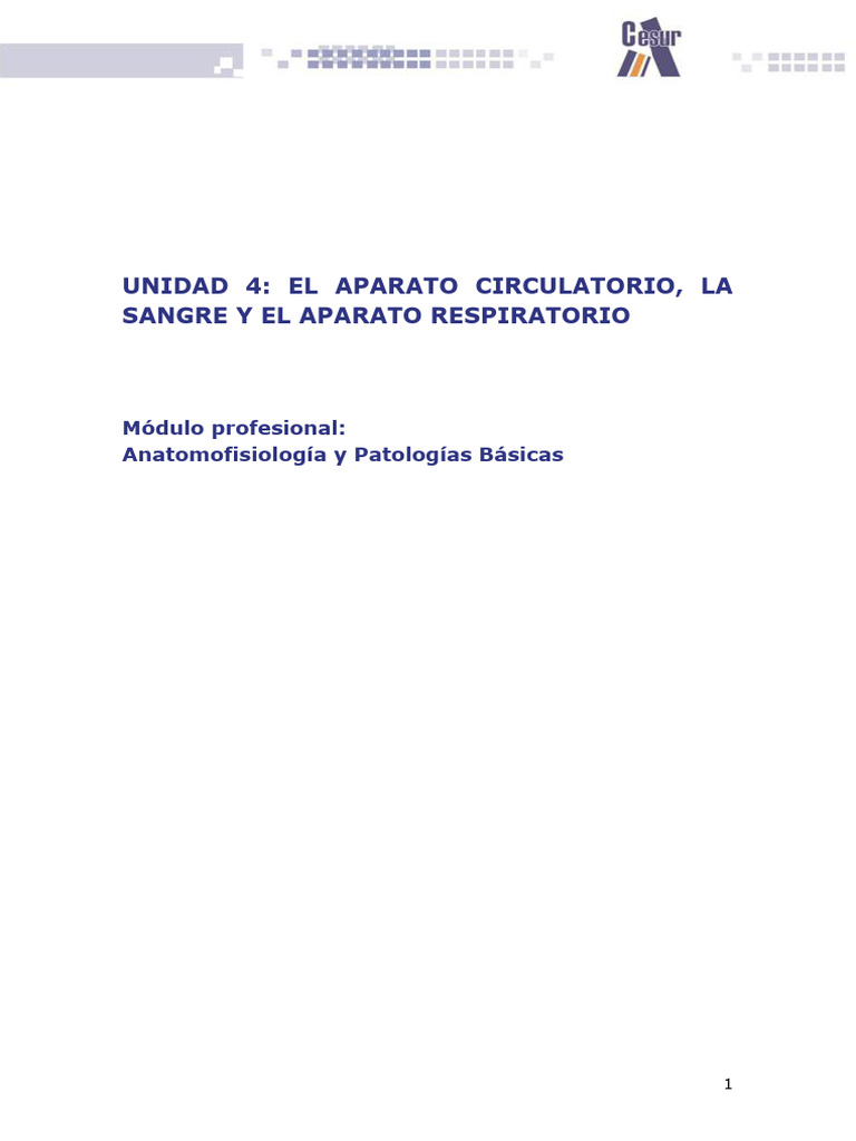 Temario Unidad 4 APB | PDF