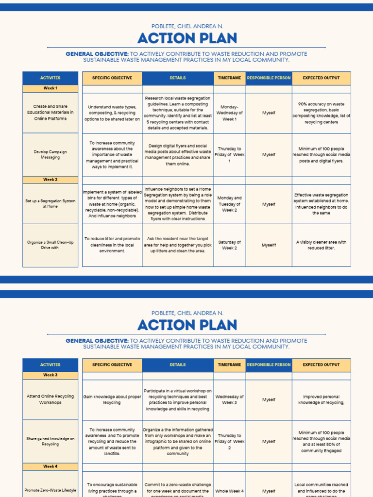 Action-Plan | PDF