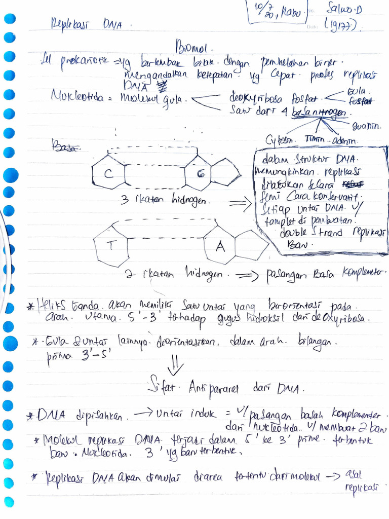 Cat Struktur DNA Dan Replikasi | PDF