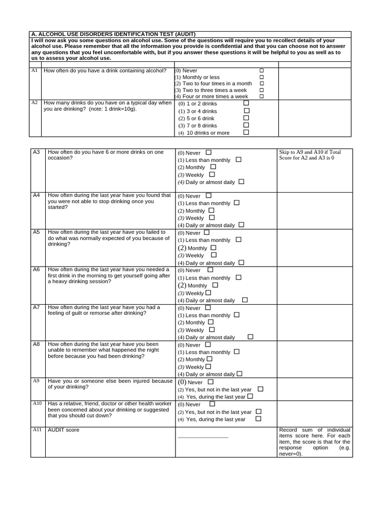 Audit Form | PDF
