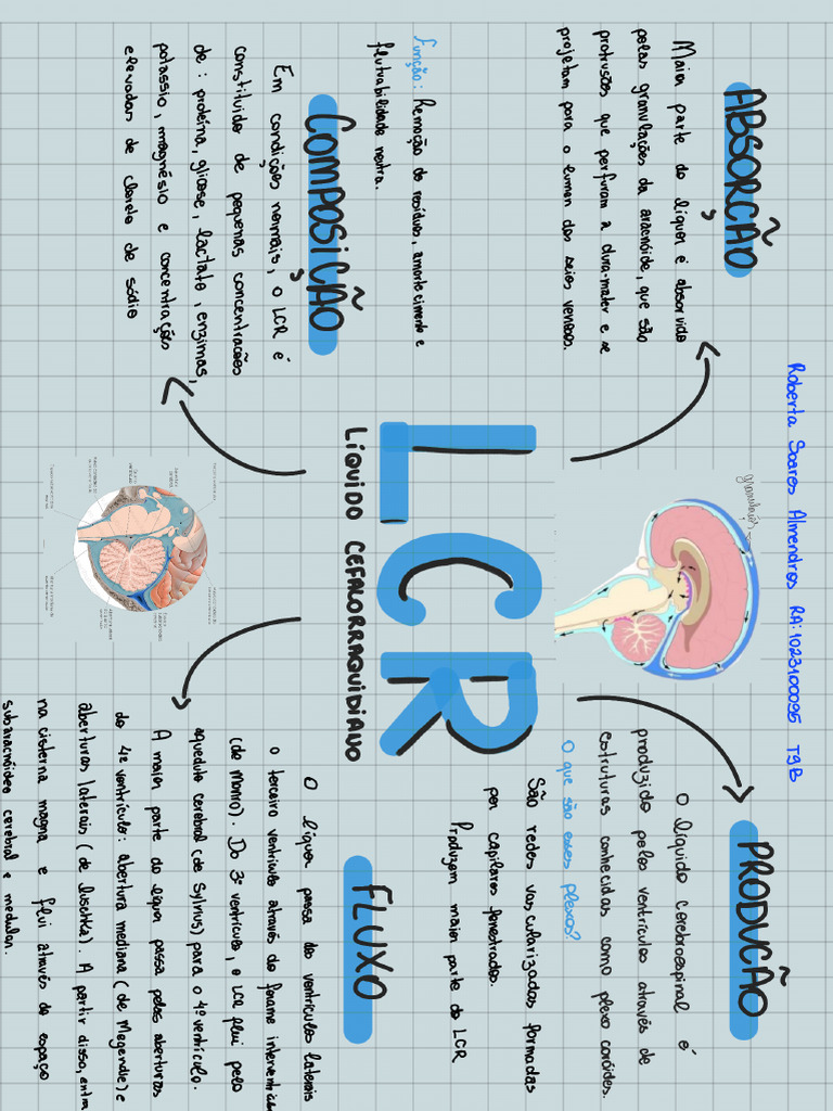 Mapa Conceitual LCR | PDF