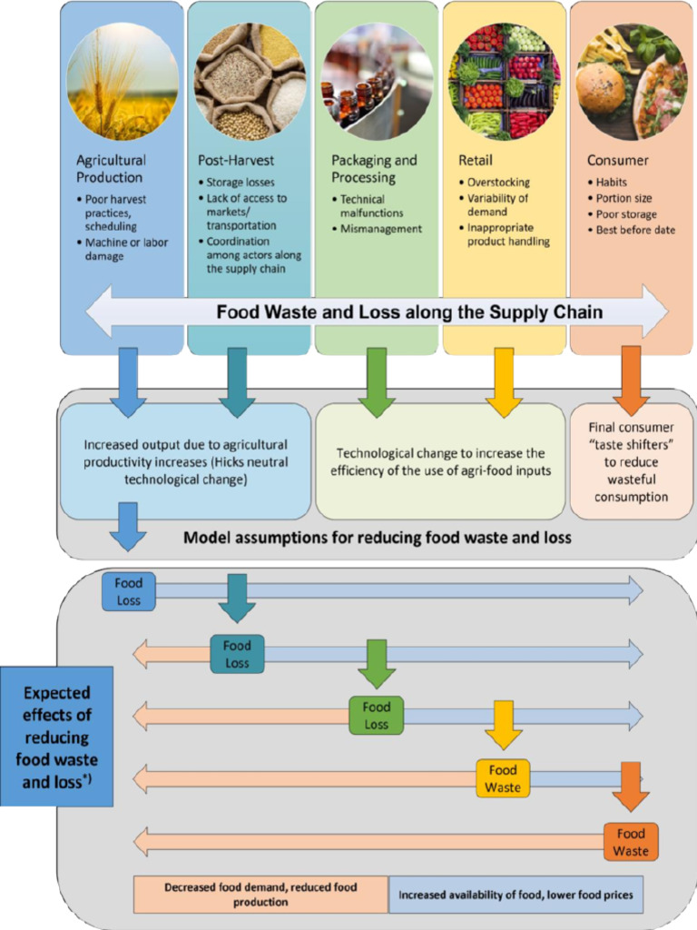 222overview Modelling Approach of Reducing Food Waste and Loss Along ...
