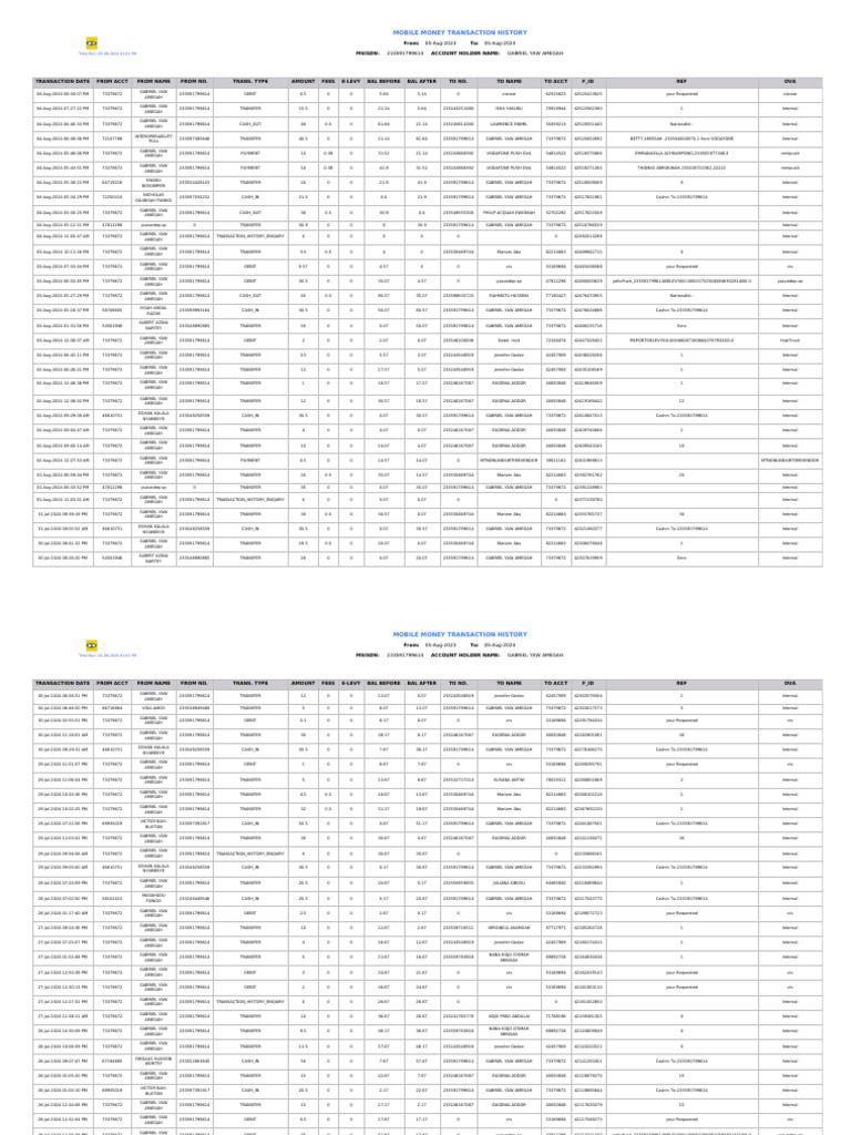 Momo Statement Report | PDF