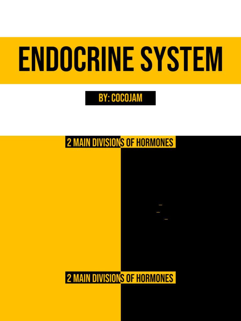 Endocrine Notes | PDF