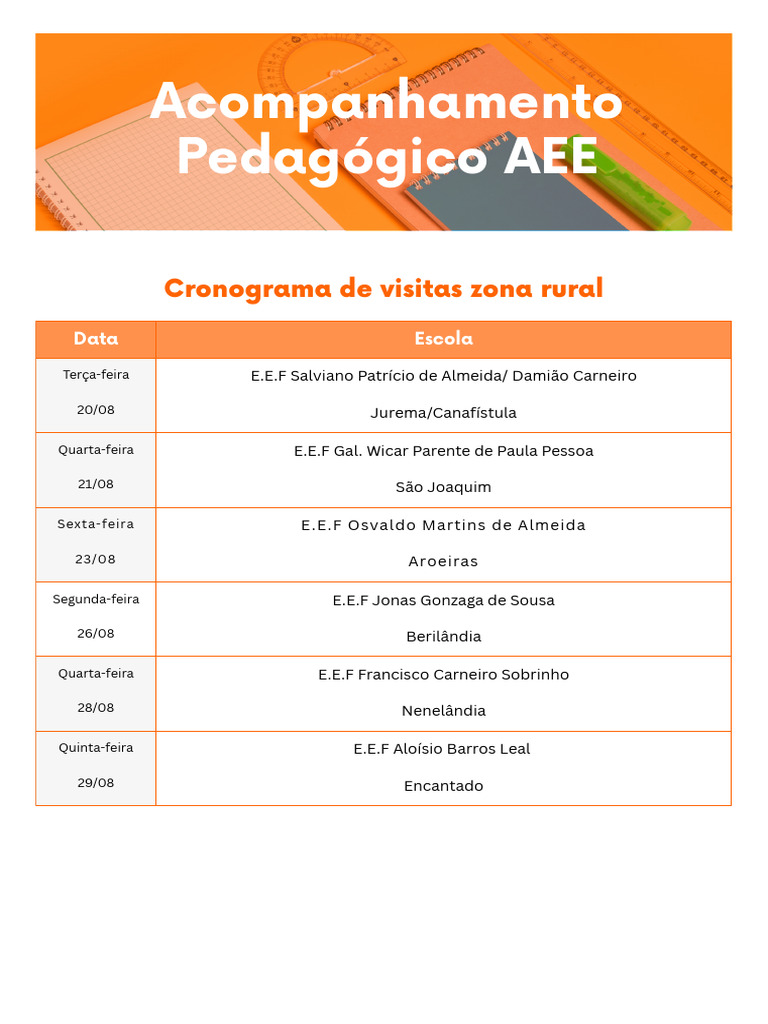 Acompanhamento AEE | PDF