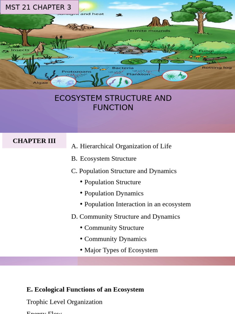Chapter 3 PPT 1 | PDF | Ecosystem | Symbiosis