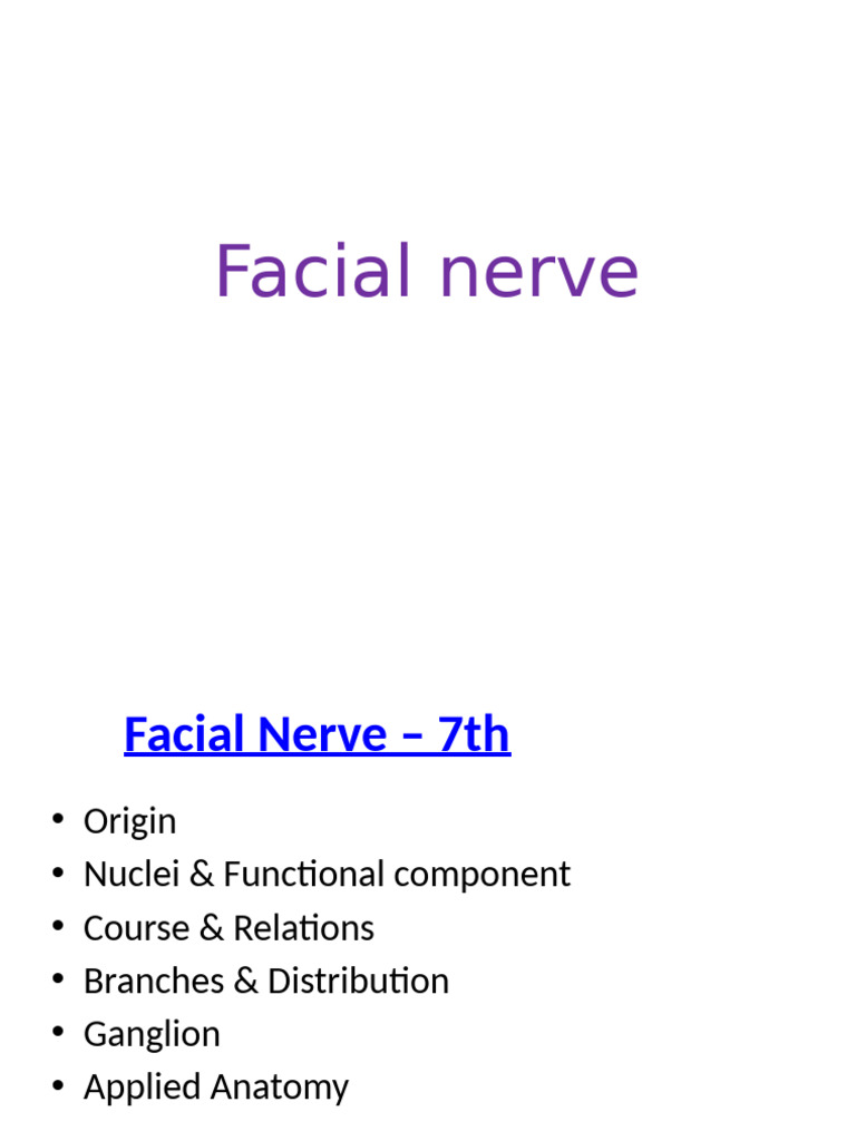 Facial Nerve | PDF