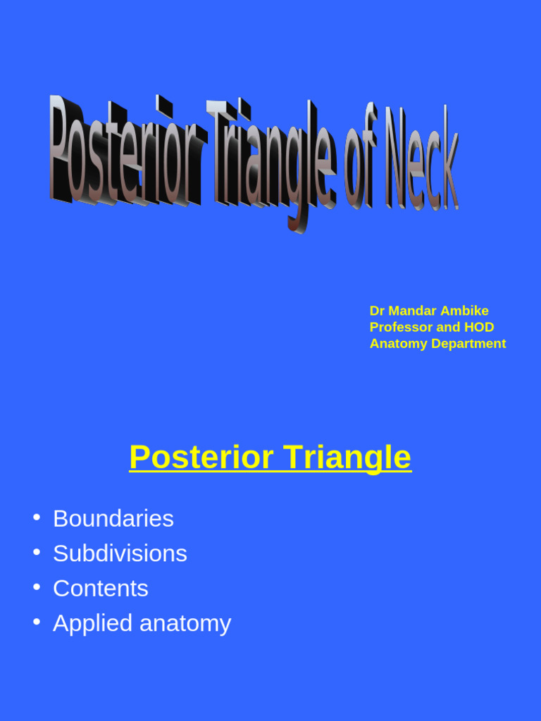 Posterior Triangle | PDF