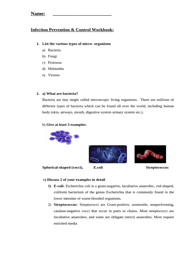 Infection Control Workbook - Assignment | PDF