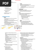 Q-The mJOA Questionnaire | PDF | Urination | Neurological Disorders