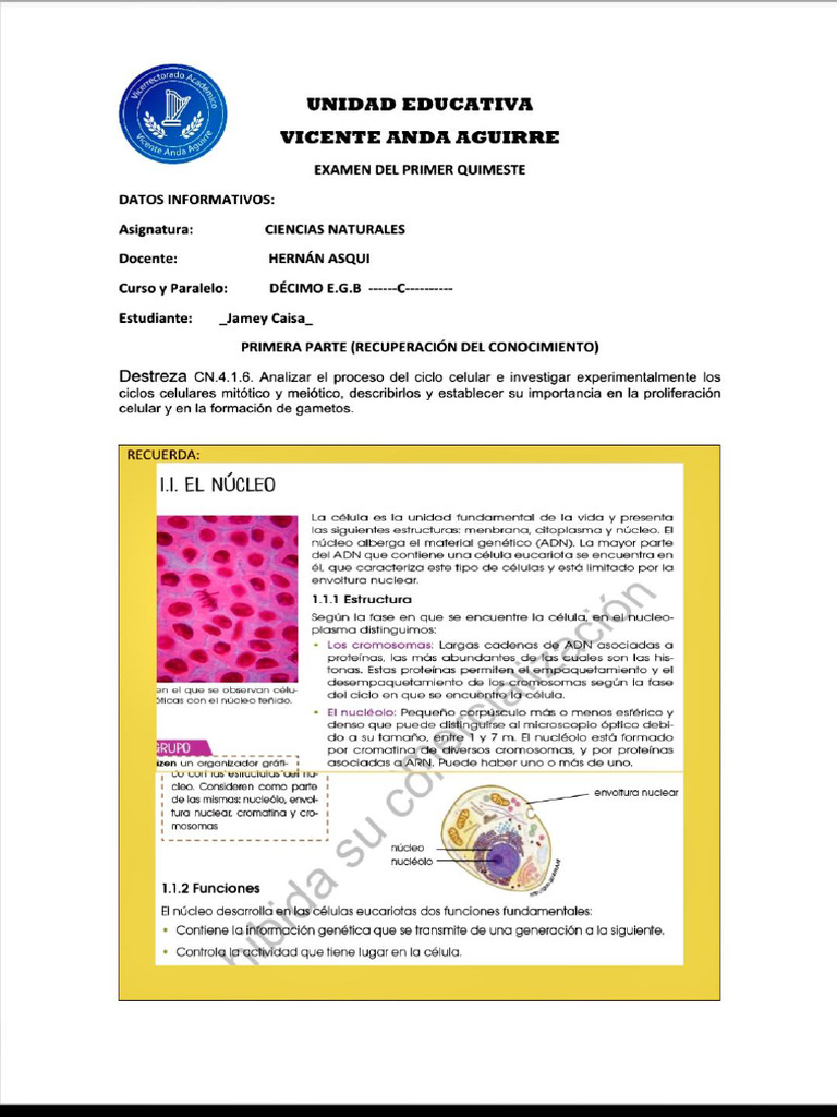 Examen CCNN | PDF