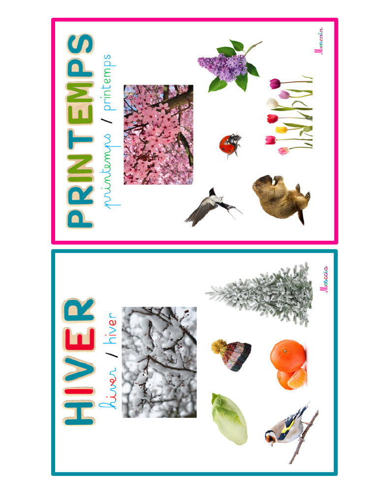CARTES SAISONS | PDF
