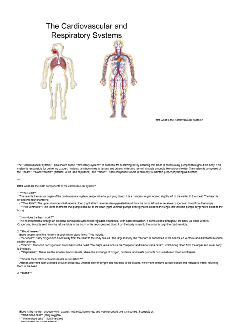 Cardiovascular | PDF