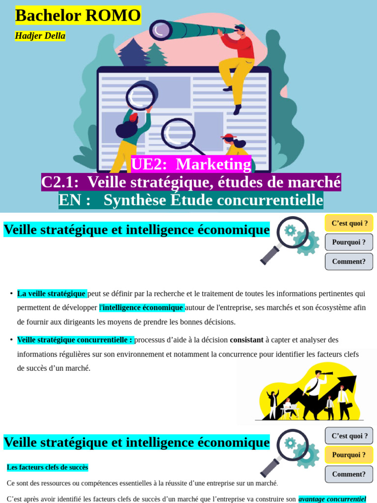 Veille Concurrentielle | PDF