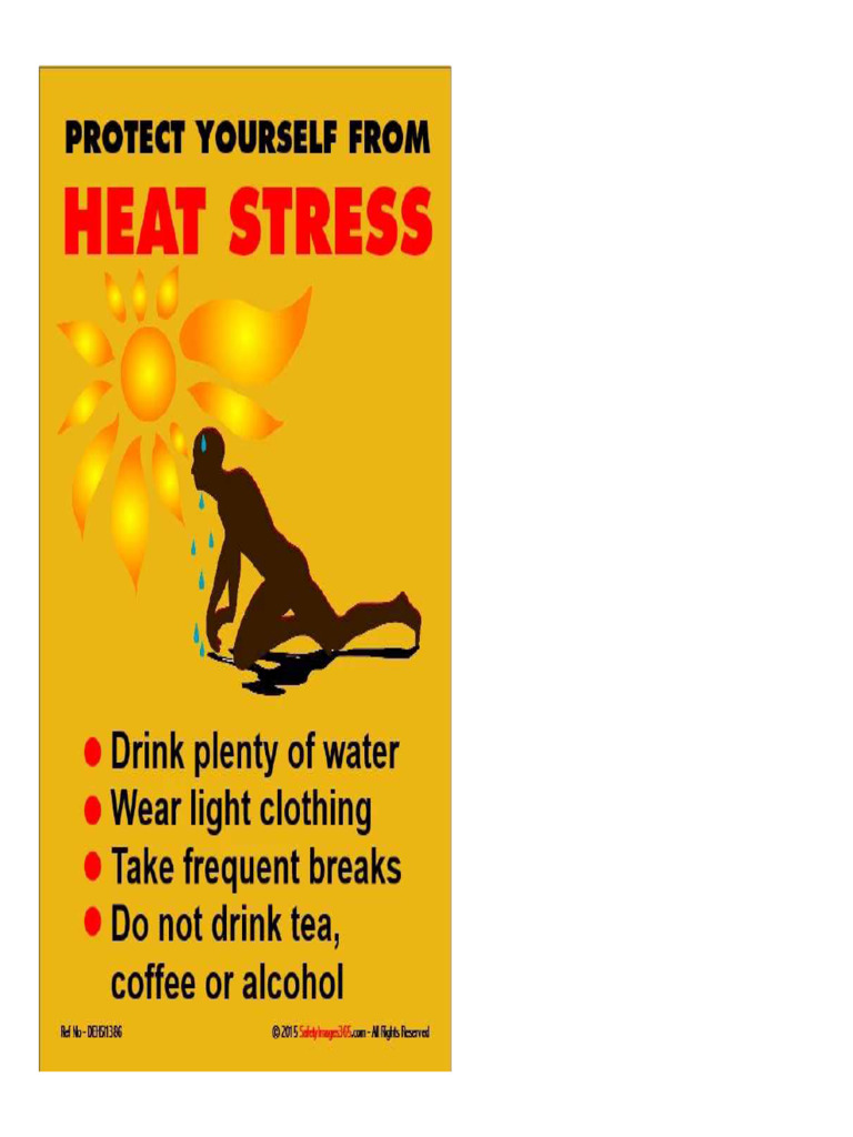 Heat Stress | PDF