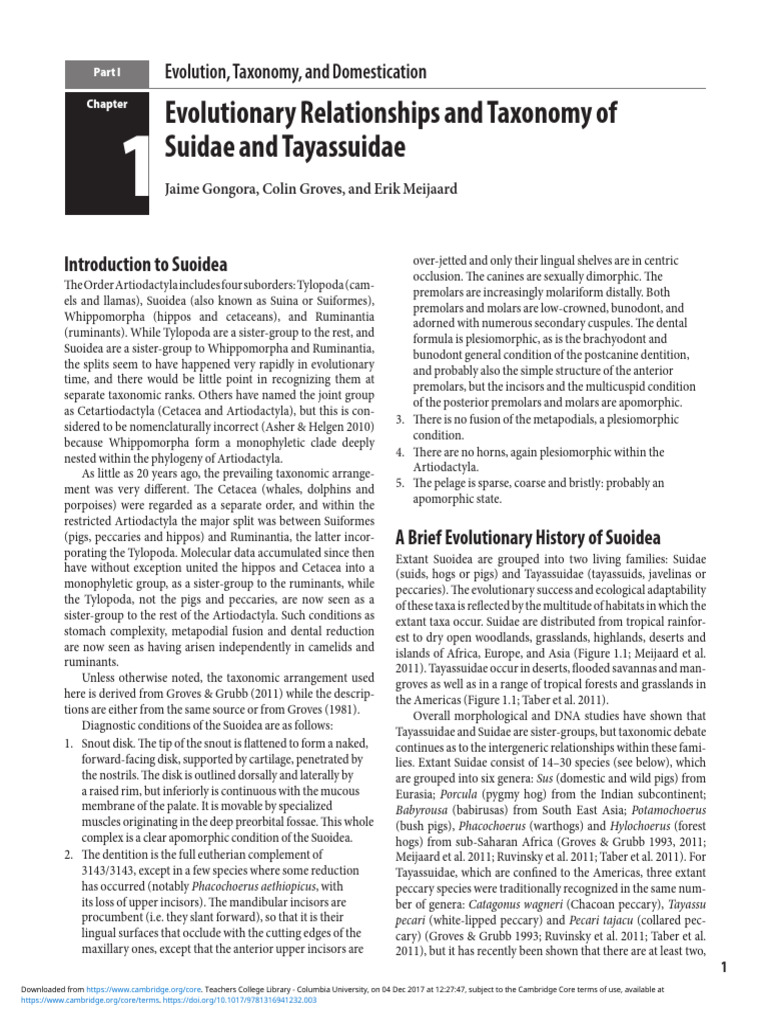 Evolutionary Relationships and Taxonomy of Suidae and Tayassuida | PDF