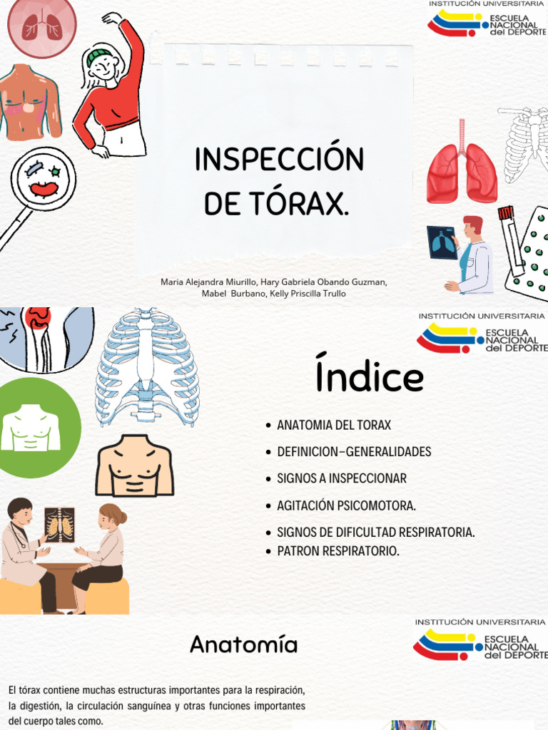 Inspección de Tórax | PDF