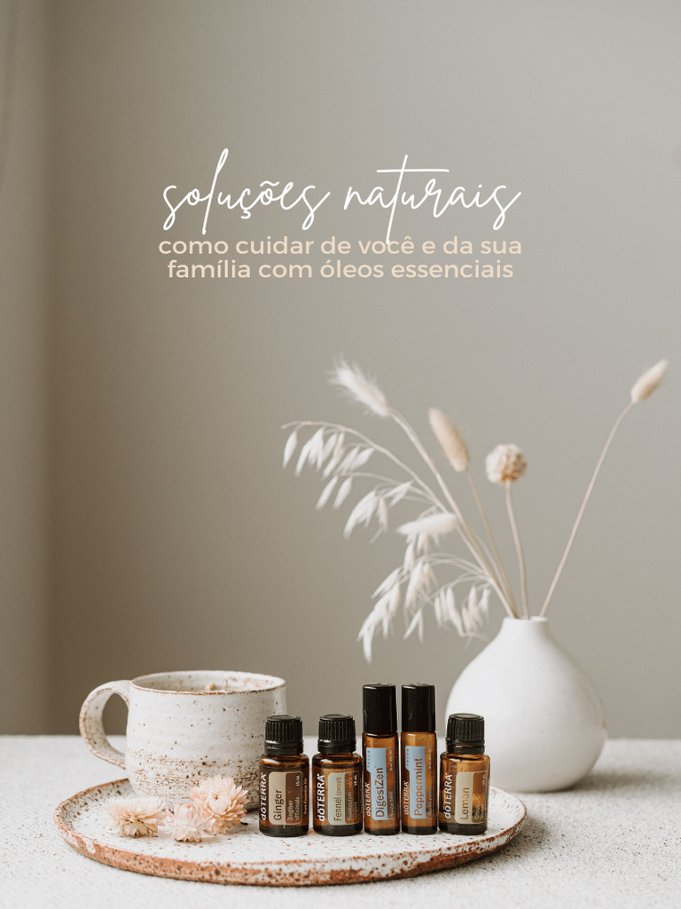 E-Book Completo - Cópia | PDF