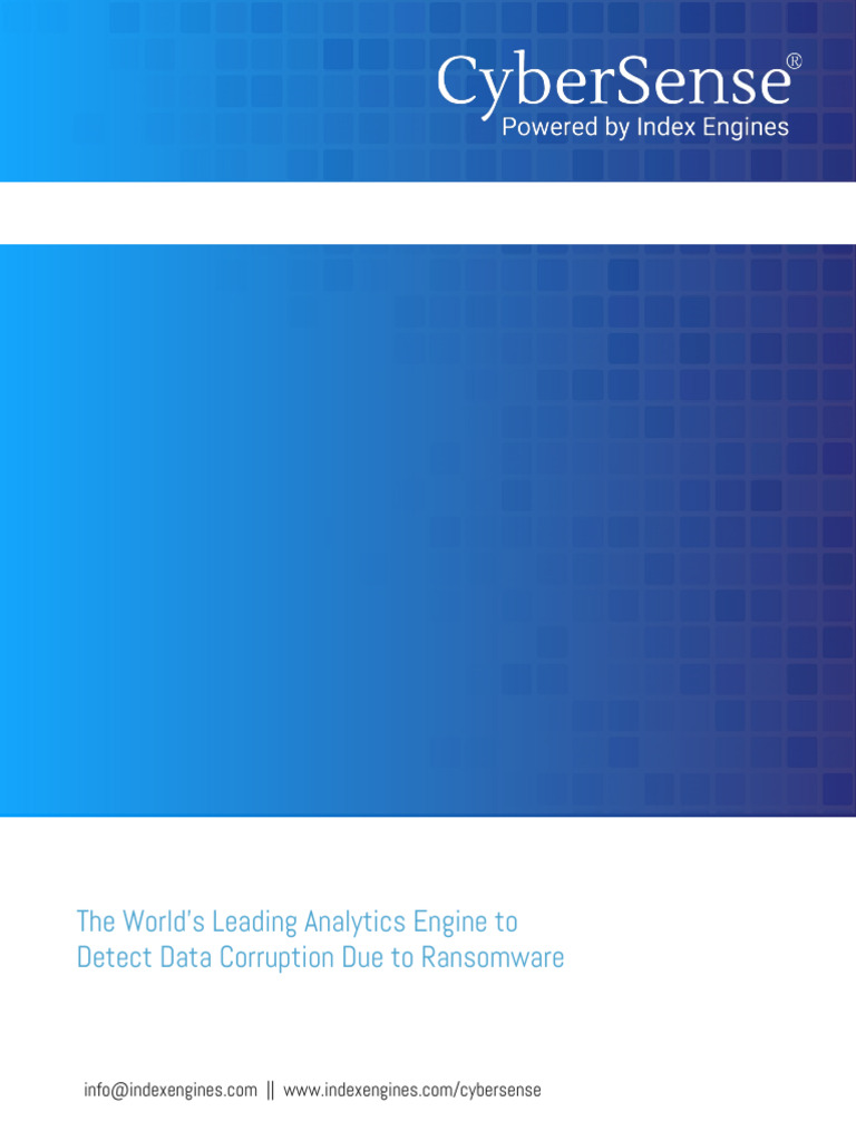 CyberSense WP 2023 | PDF